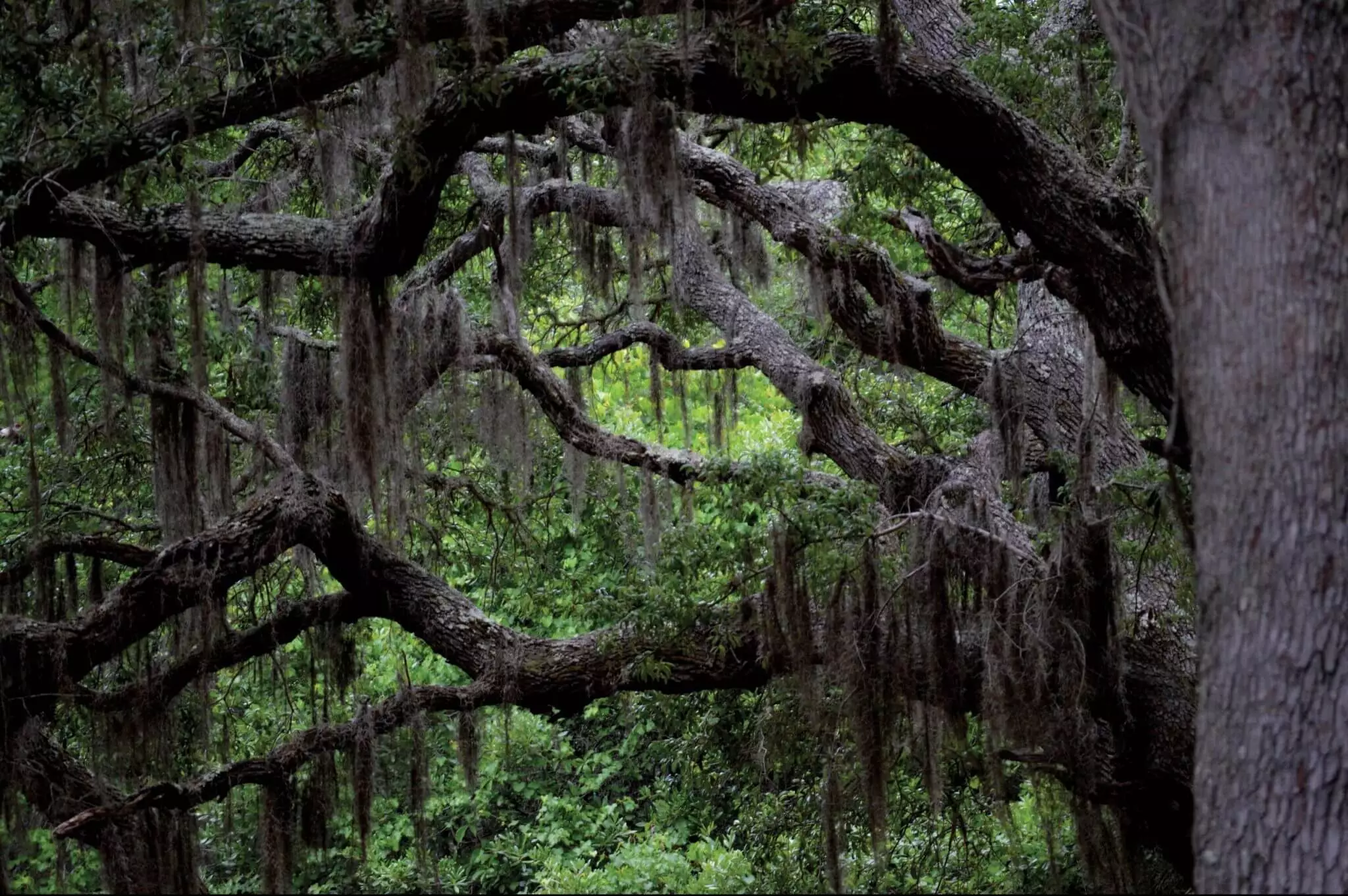 Northwest FL | WonderFL